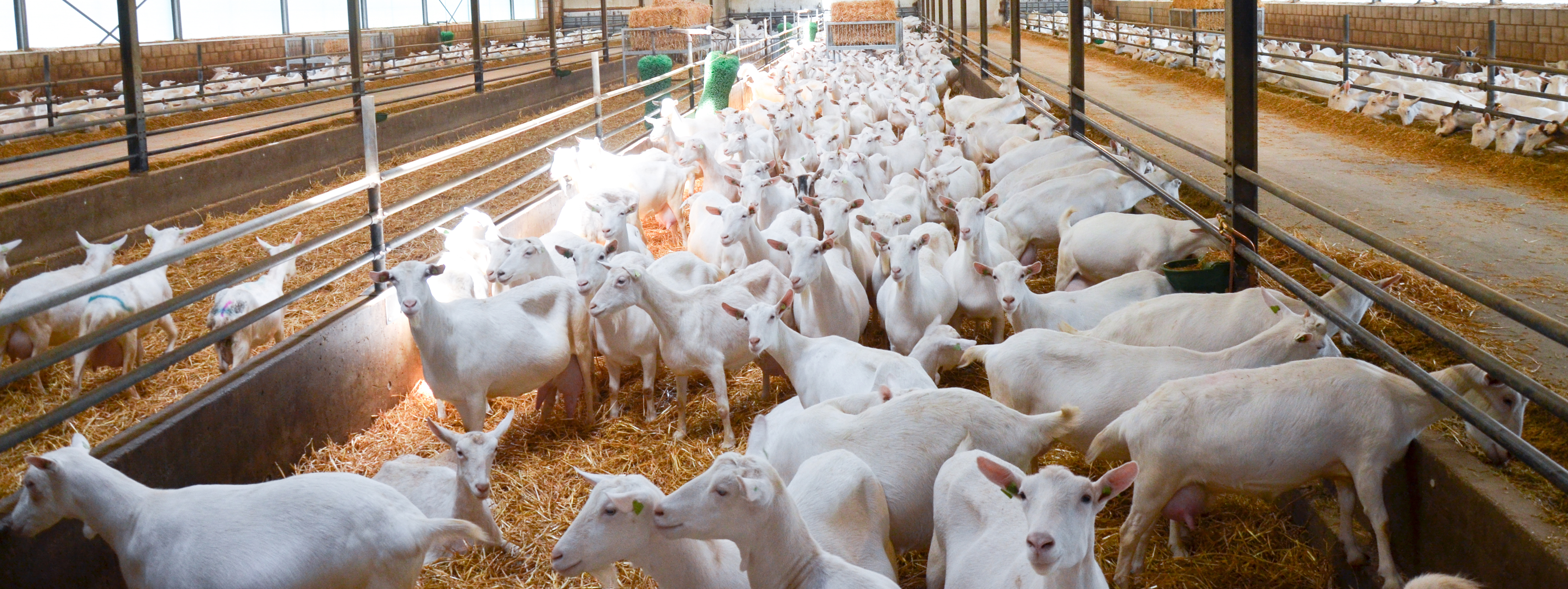 Oormerken – Elda ICT & Services