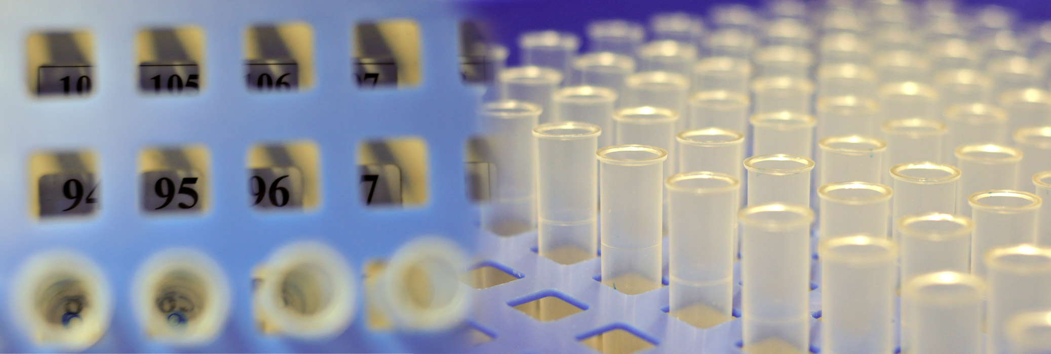 Oormerken – Elda ICT & Services