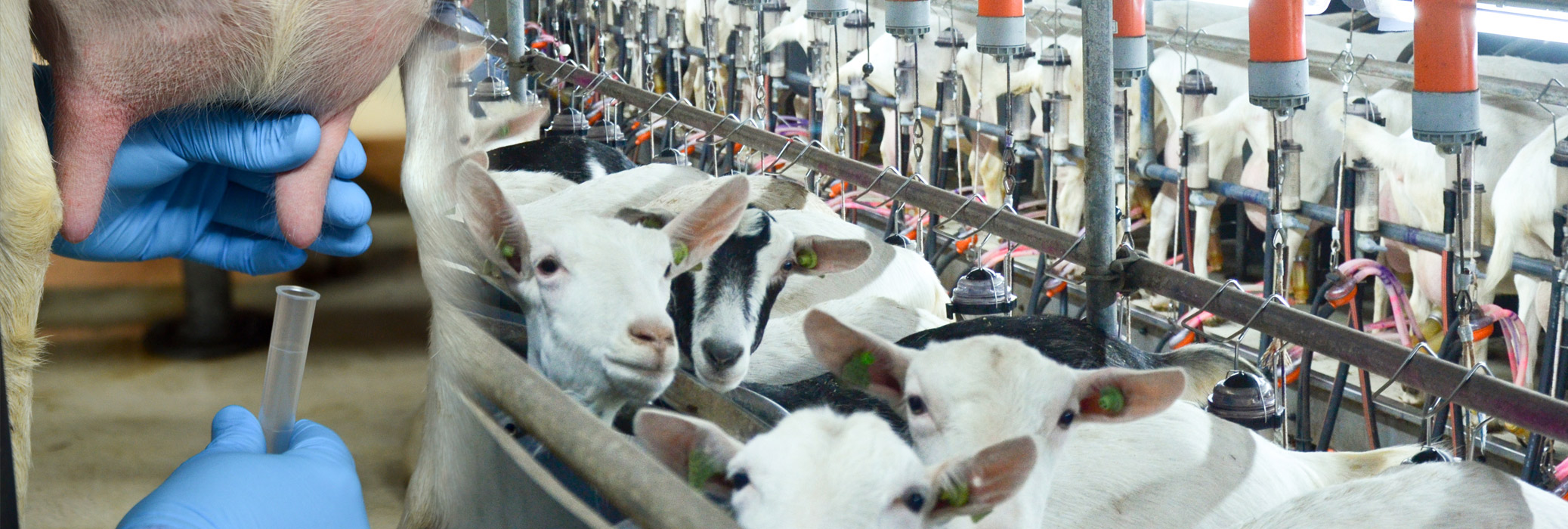 Elda ICT & Services – Automatisering en administratieve begeleiding