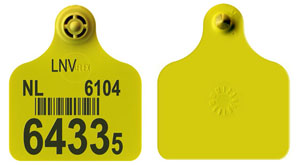 markflex1a_Koeien – Elda ICT & Services