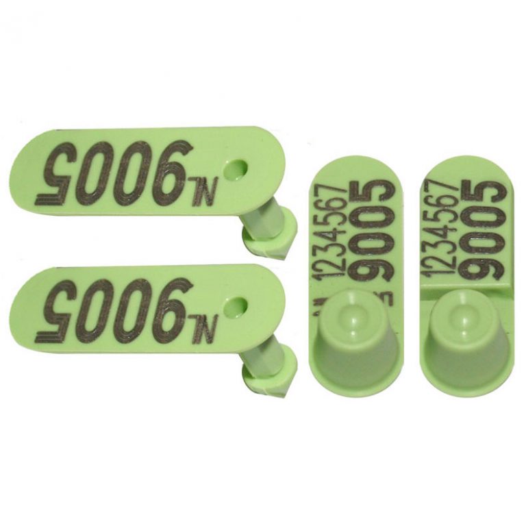 Elektronische oormerken – Elda ICT & Services